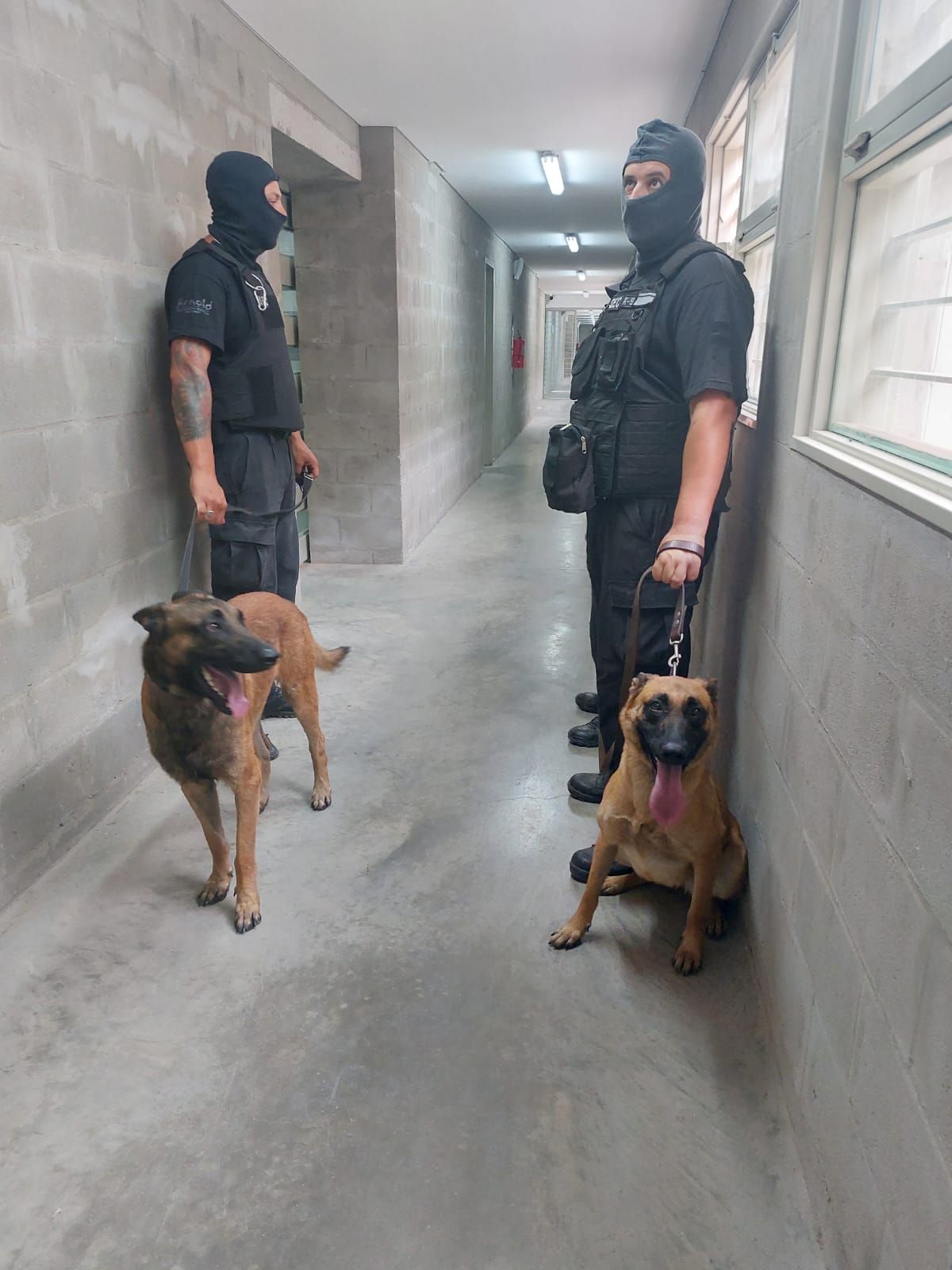 El Servicio Penitenciario amplió la dotación de perros para rastrear ...