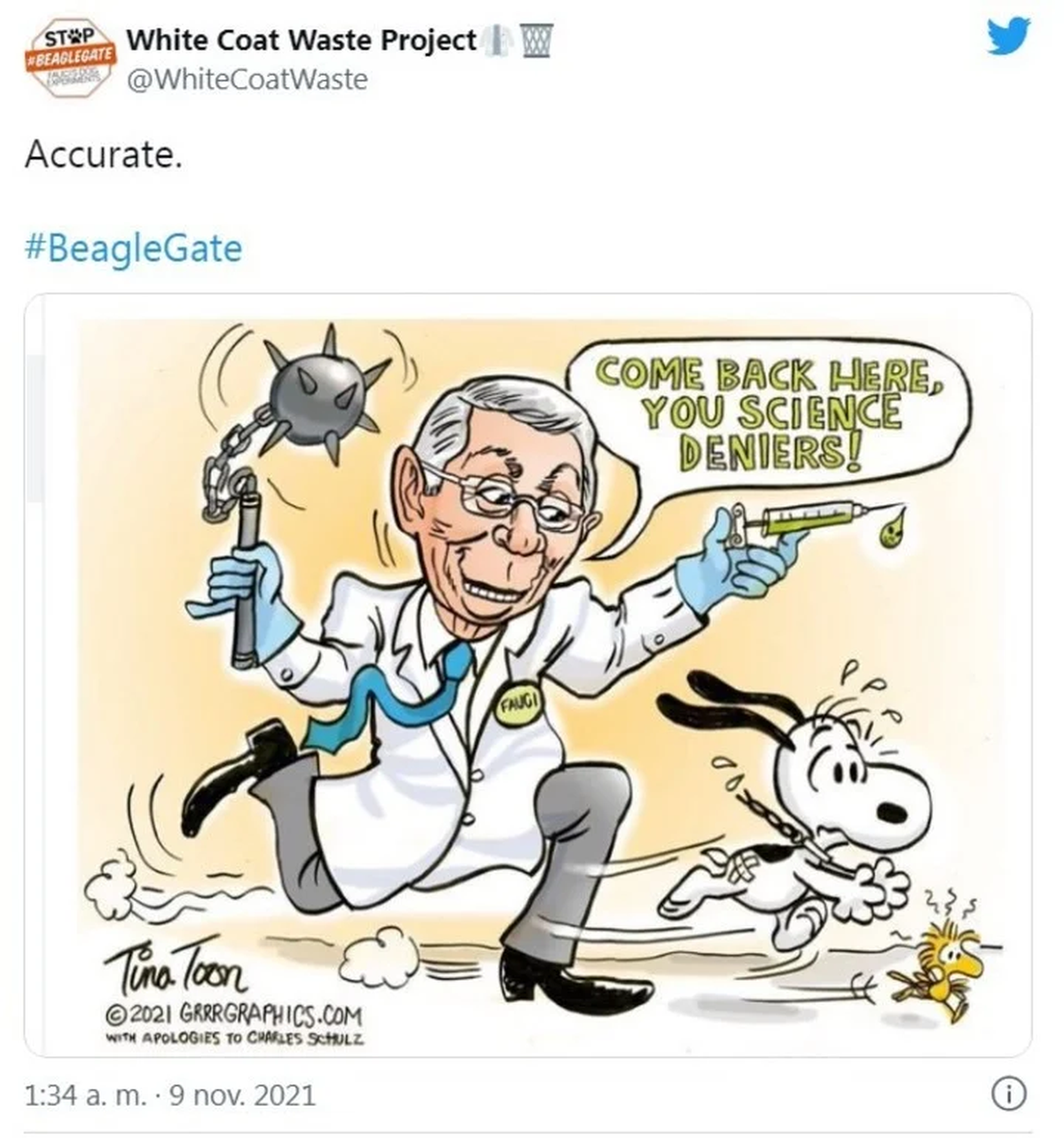 El Beagle Gate: los horribles experimentos con perros del Dr. Fauci