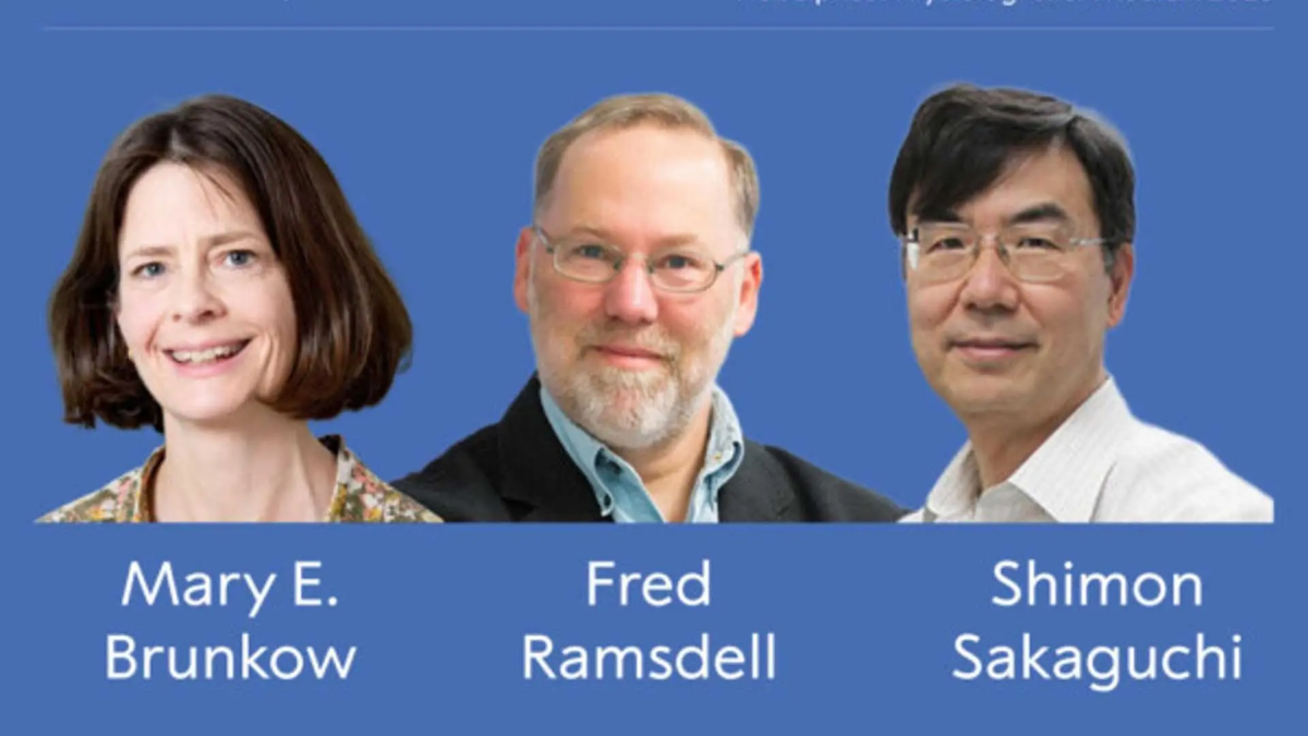 Quiénes ganaron el premio Nobel de Medicina 2025: el descubrimiento de los tres científicos ...