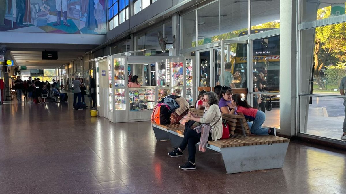 Vienen y van: gran movimiento turístico en la Terminal de Ómnibus de ...