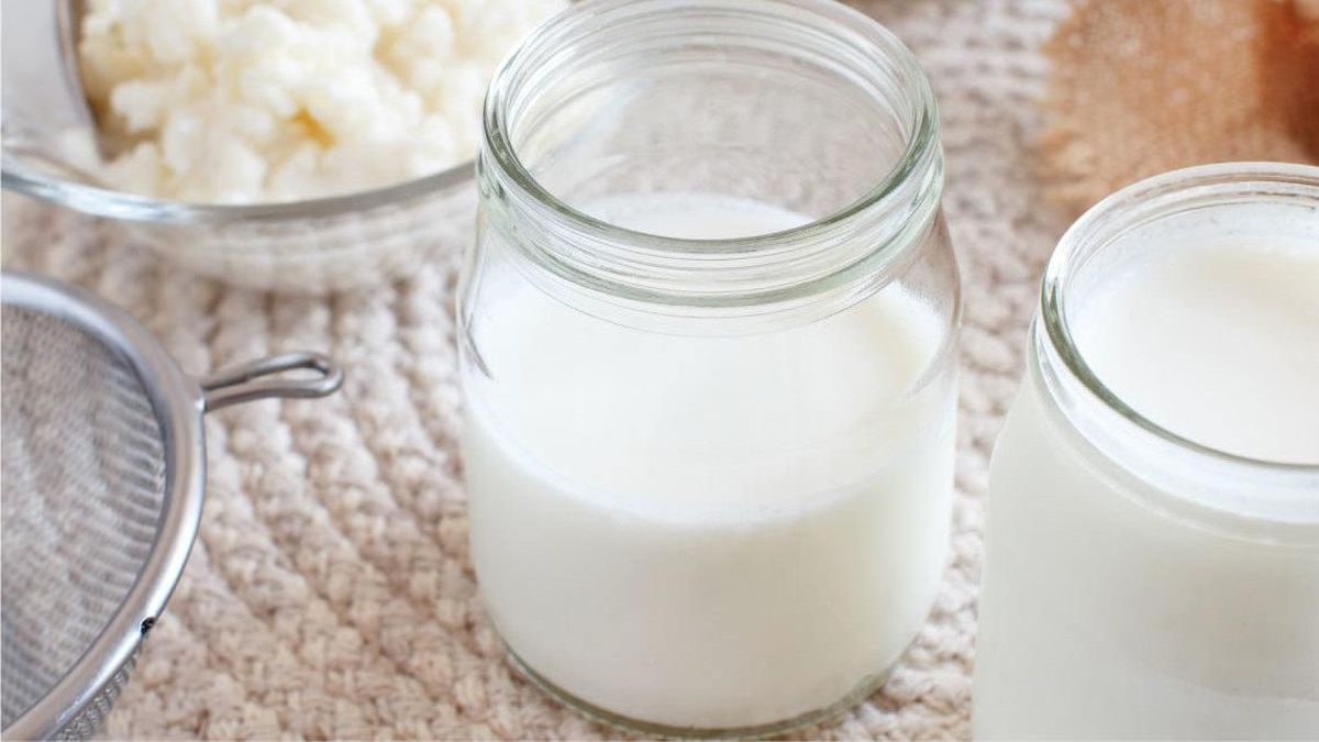 Kéfir: ¿qué es, para qué sirve y cómo se hace la bebida probiótica del ...