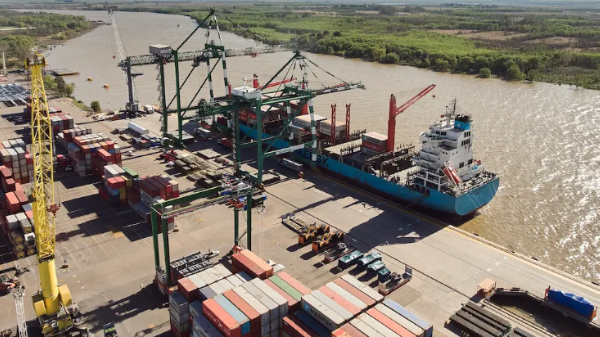 Allanaron el puerto de Zárate tras el hallazgo de 221 kilos de cocaína ...