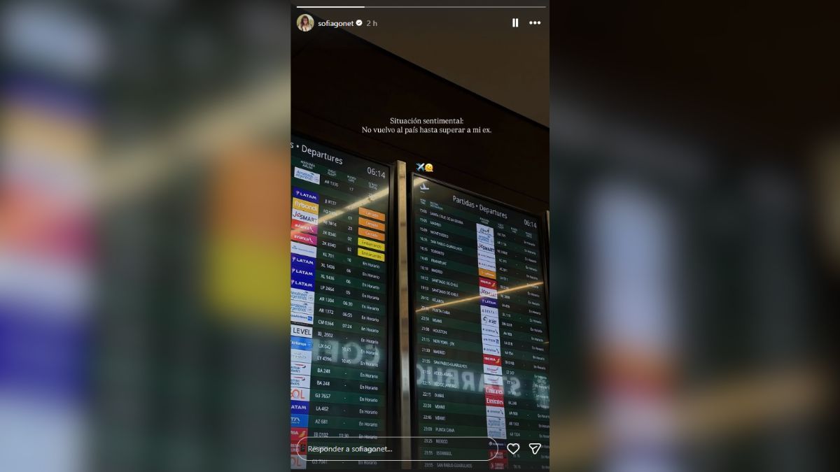 Homero Pettinato y Sofía Gonet se separaron tras una relación con idas y vueltas