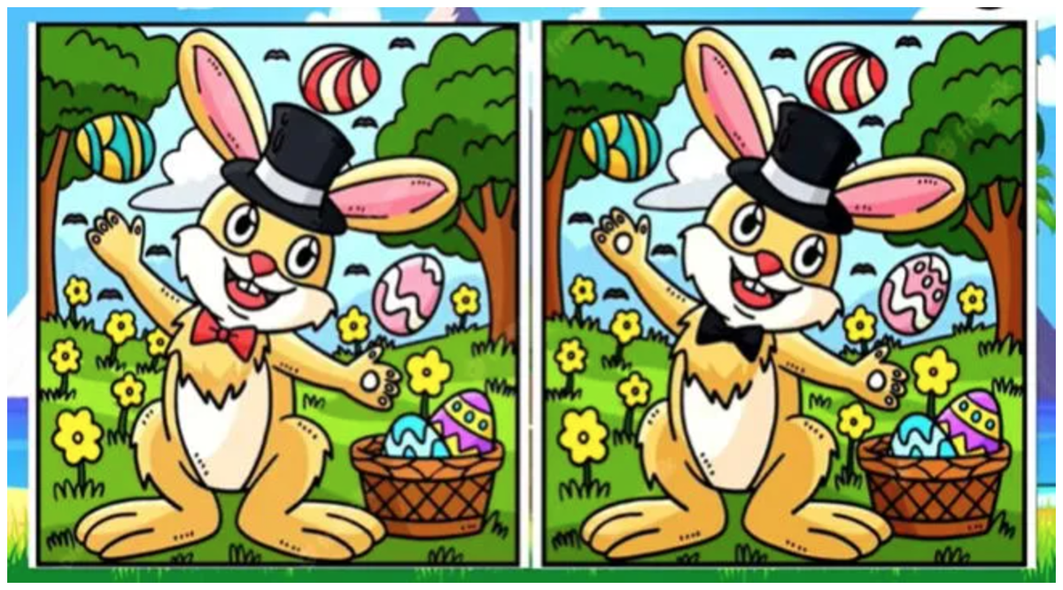 RETO VISUAL nivel PRO: solo el 3% encontró las 6 diferencias ¡en 7 ...