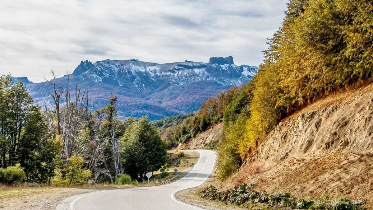 De punta a punta por la Ruta 40: un recorrido con postales únicas y ...