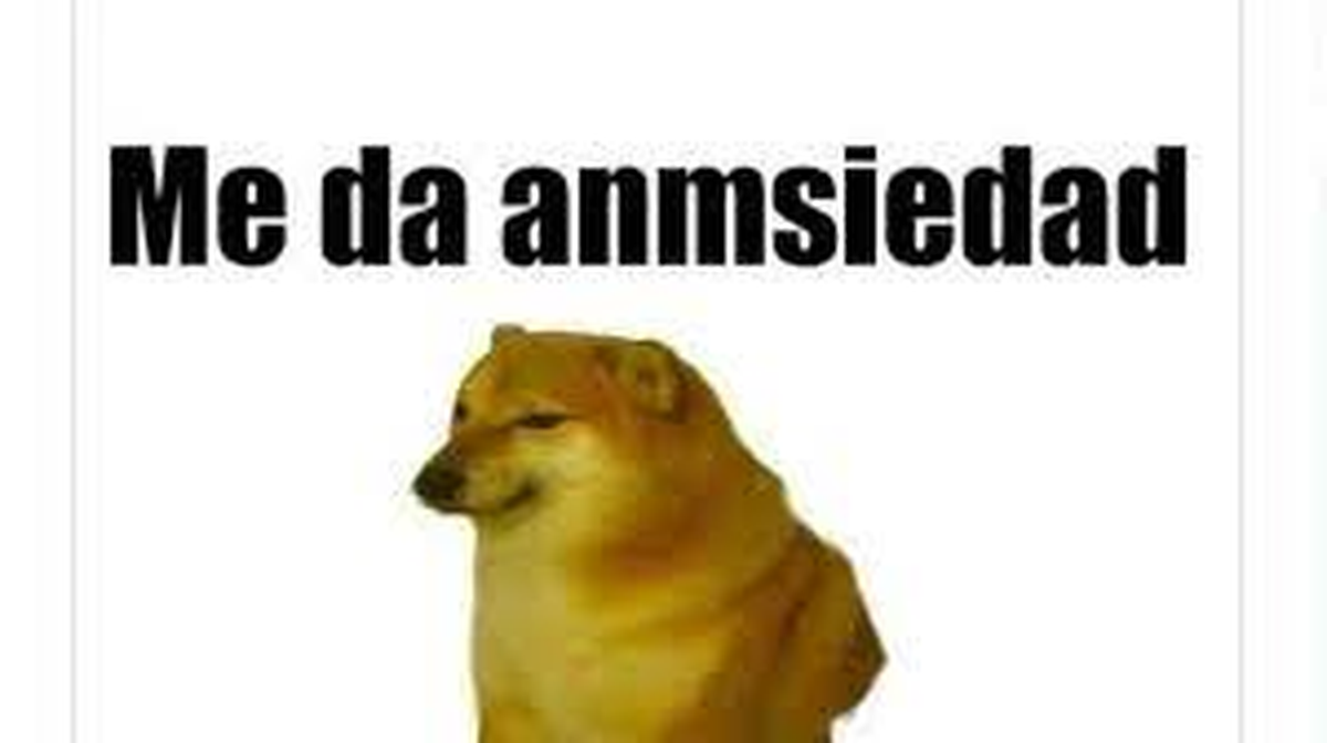 Confirman que Cheems, el perrito de los memes, podría morir en meses: el terrible diagnóstico