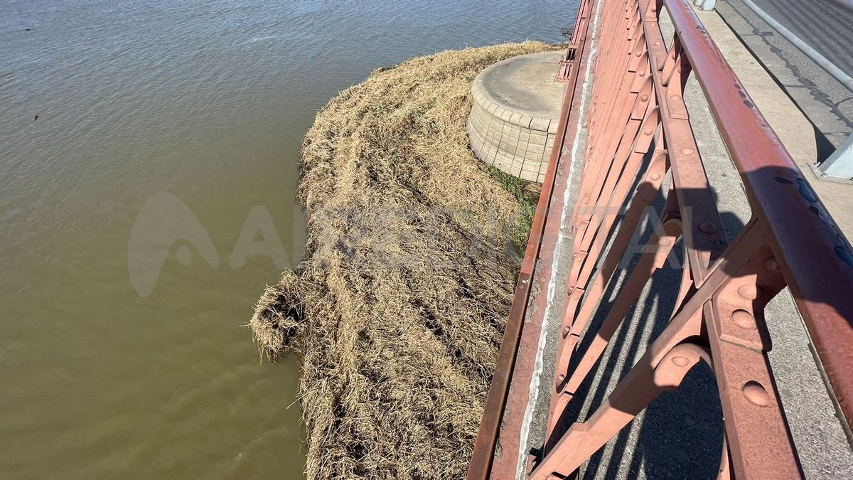 El embalsado de la Laguna Setúbal se trasladó al Puente Colgante