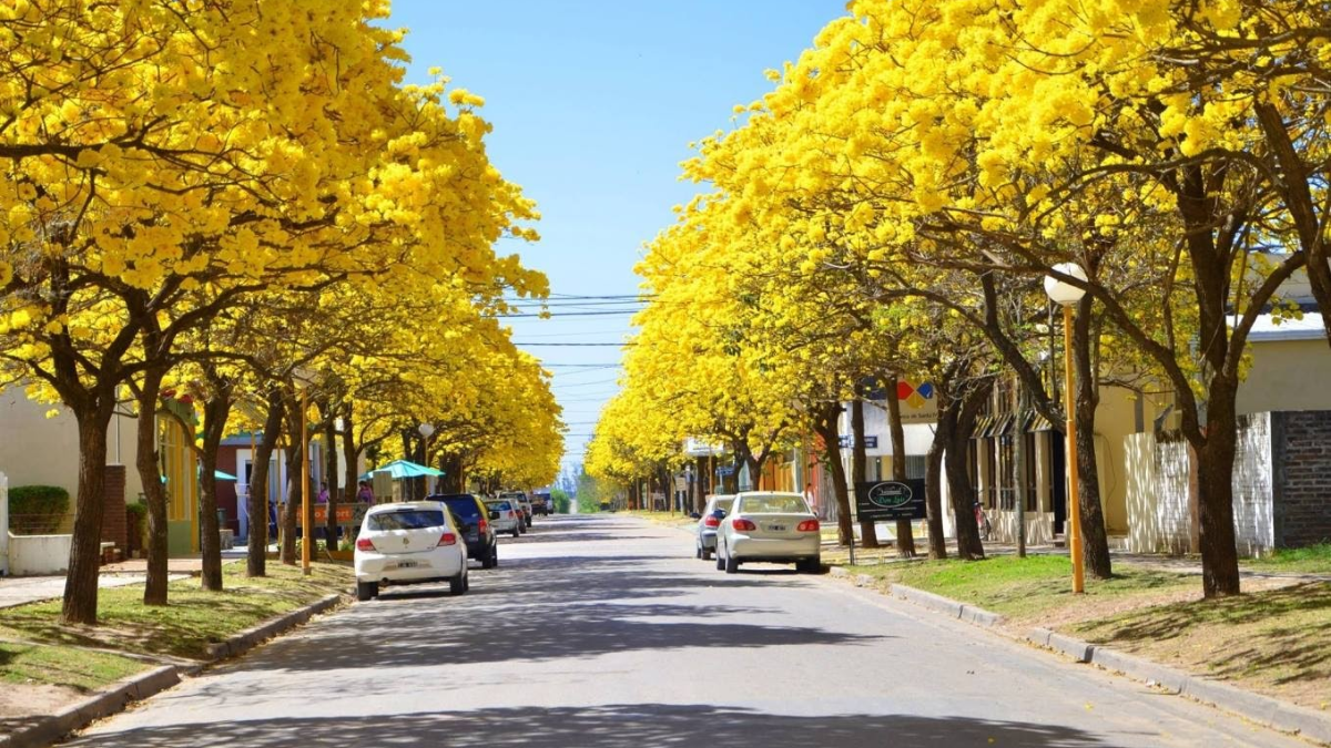 Descubrí Romang: historia, naturaleza y diversión para pasar un finde a ...