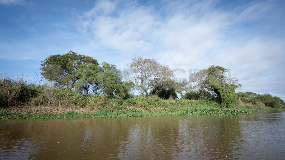 San José del Rincón: un oasis de paz en la costa santafesina