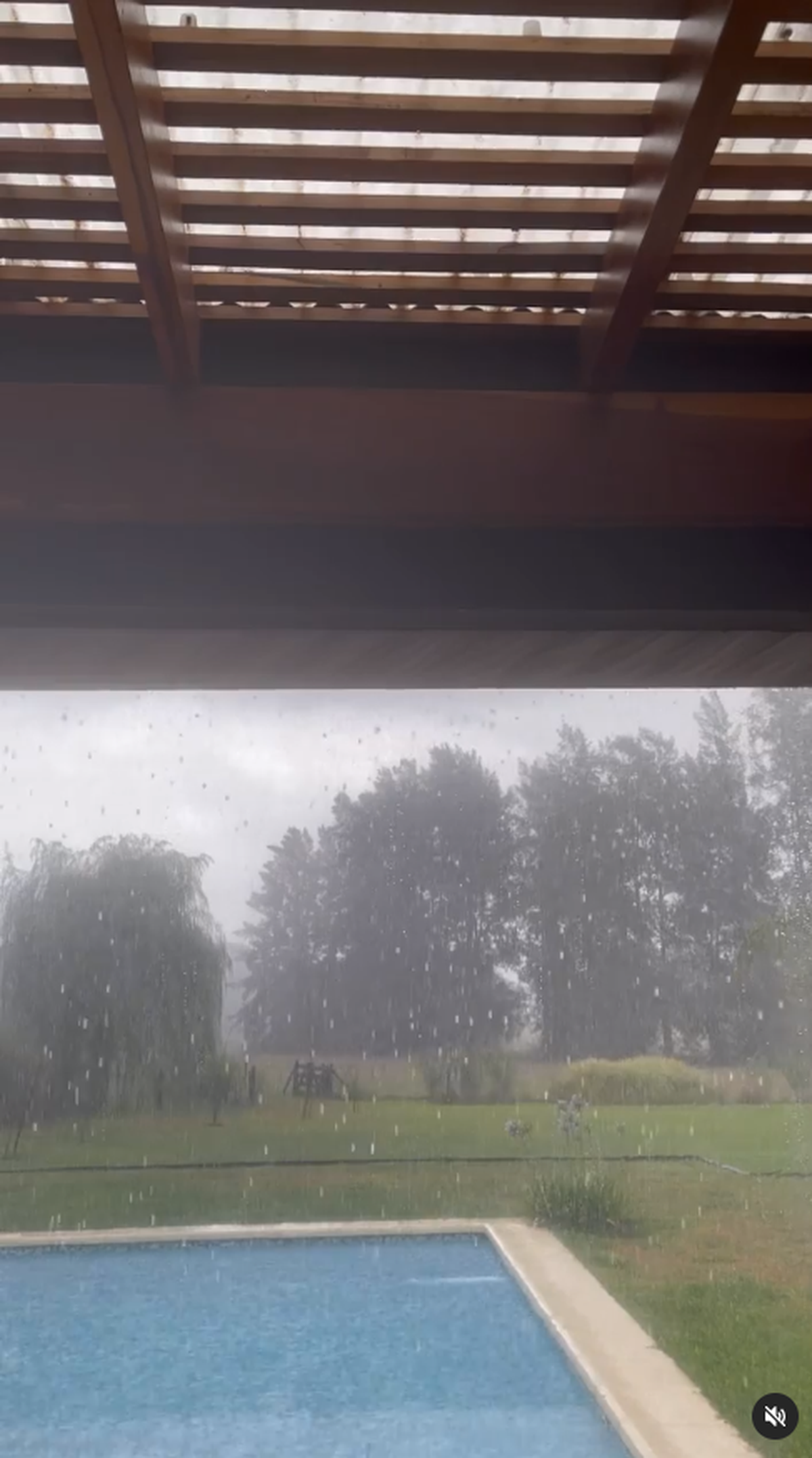 Así es la casa de Viviana Canosa: elegancia, sofisticación y mucha ...