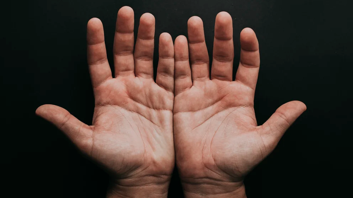 ¿Qué tipo de manos tenés según la Quiromancia?