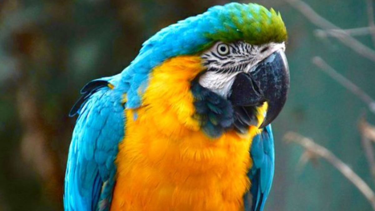 Escapada de Semana Santa: una maravillosa reserva natural escondida en ...