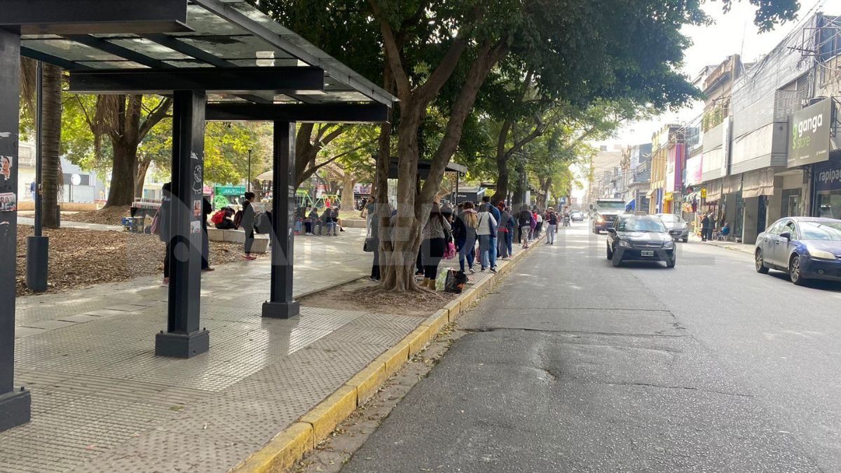 Paro de colectivos: pese a la conciliación obligatoria dictada por la ...