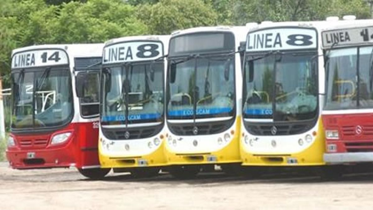 Rigen nuevos recorridos para las líneas 8 y 14