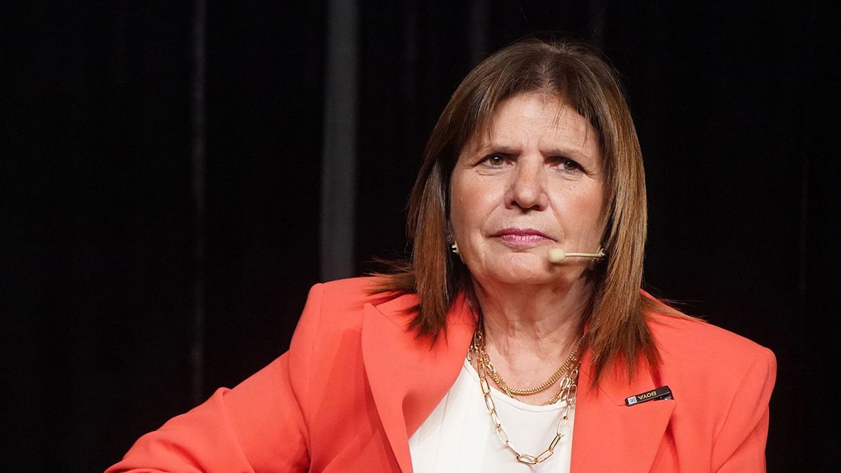 Patricia Bullrich: Pablito Moyano tenelo claro, vos cortas la calle y ...