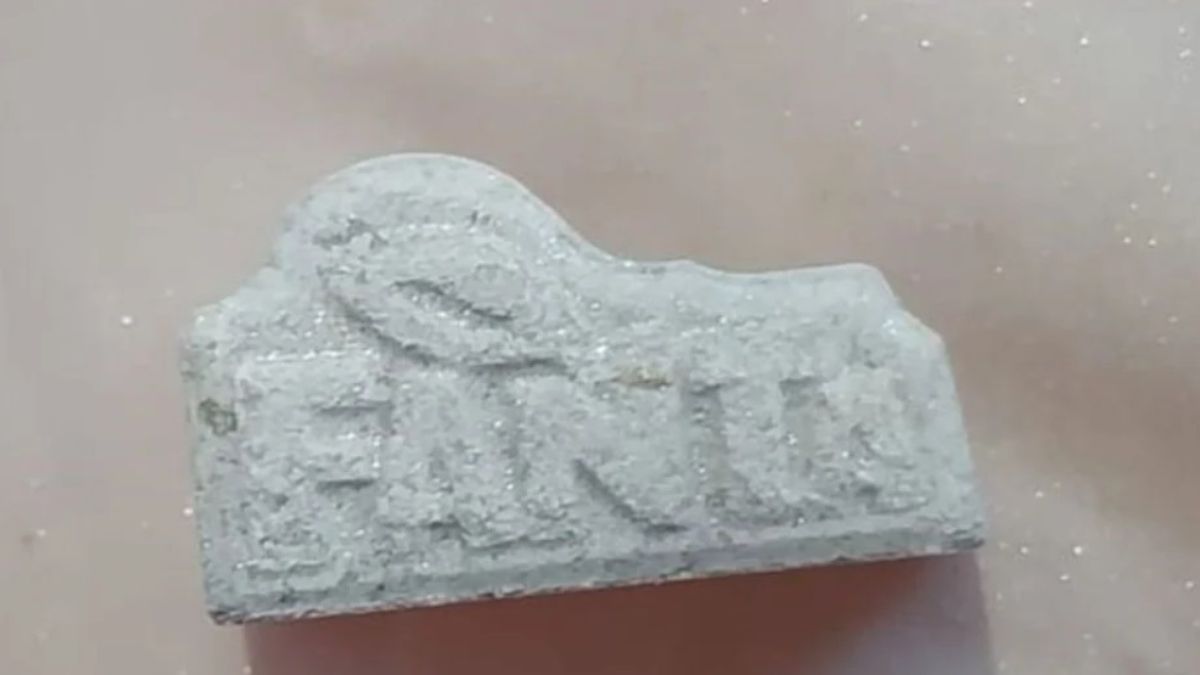 Operativo Fanta: detienen en Salta a un policía bonaerense con 27 mil ...