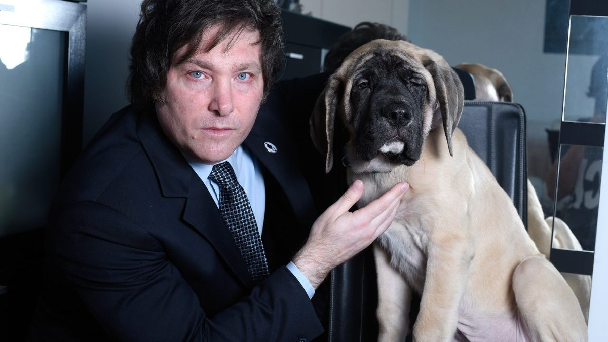 Celia Melamed, la telépata de animales, reveló que se contacta con los ...