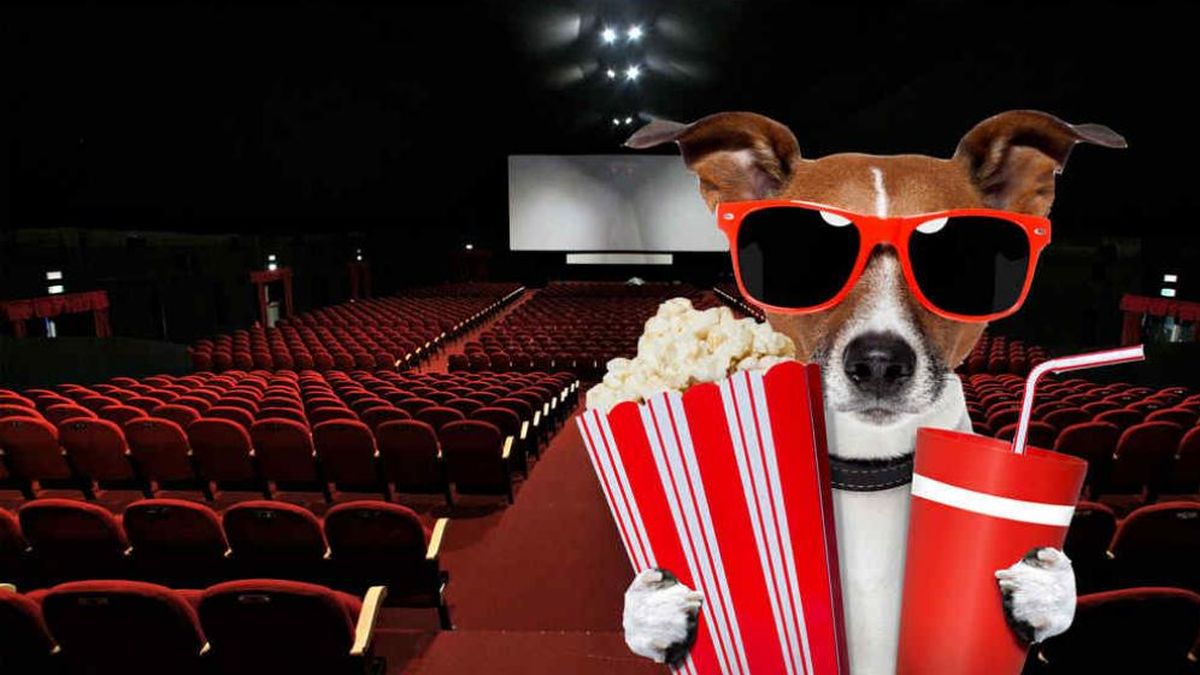 16 Películas Basadas En Libros Que Están En Netflix Y Son Buenísimas