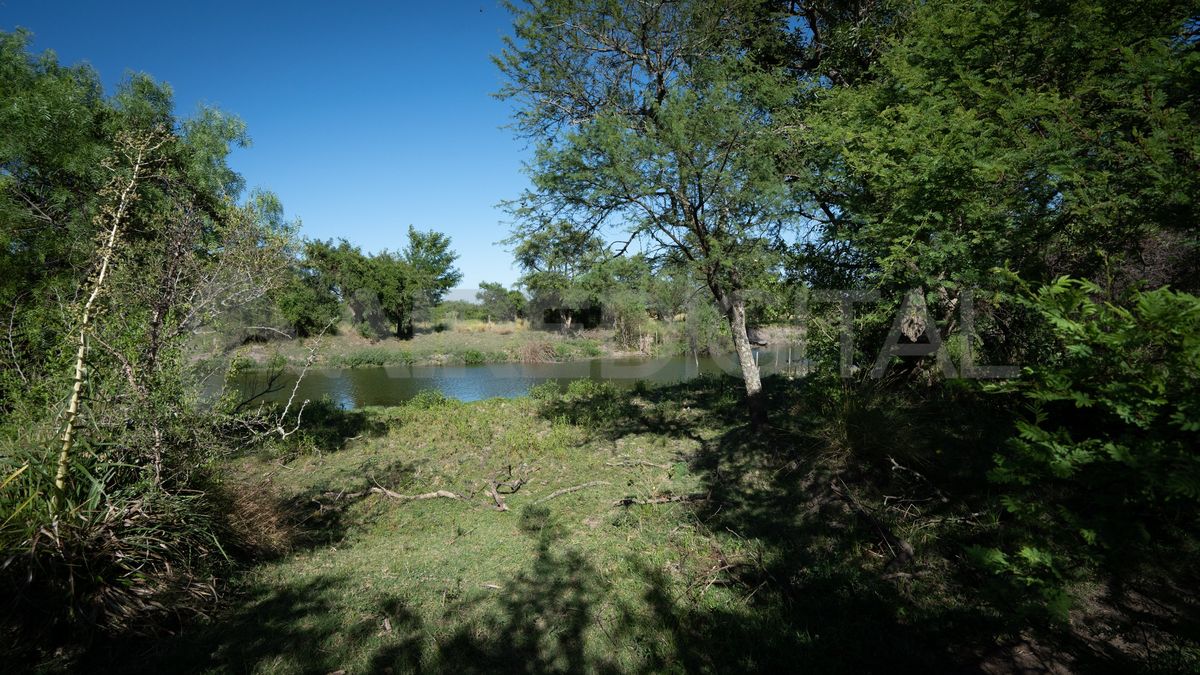 Colonia Dolores: el camino de sanación, un ritual ancestral mocoví que ...