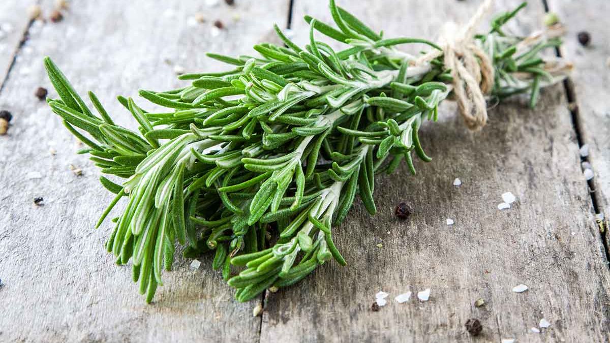 Para qué sirve el romero: propiedades y beneficios