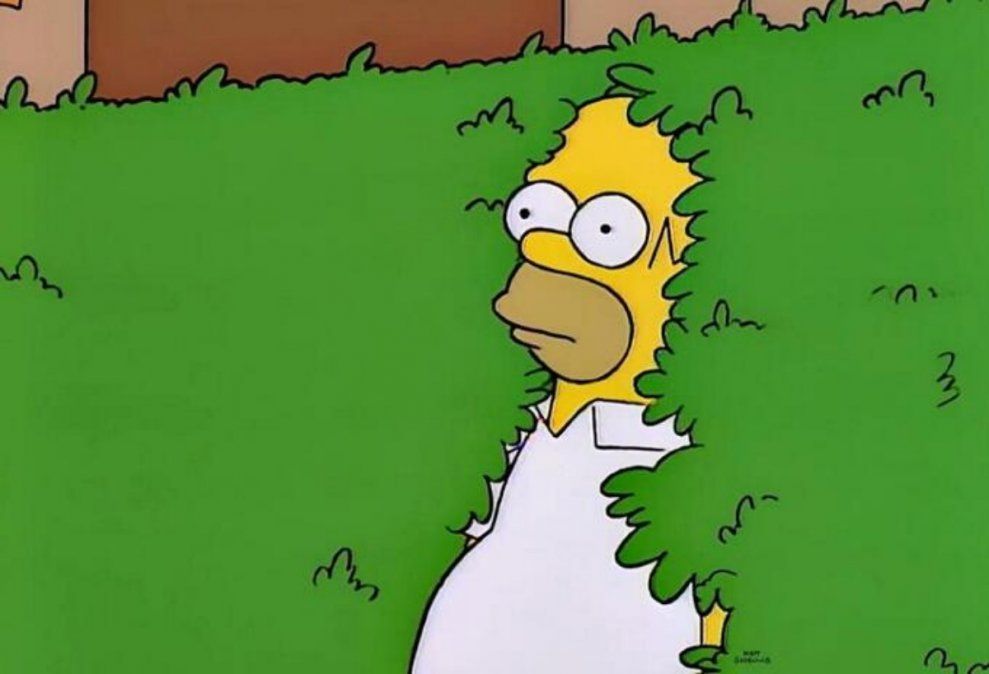 Los Simpson: un guionista reveló cómo se creó a Homero y por qué es el ...