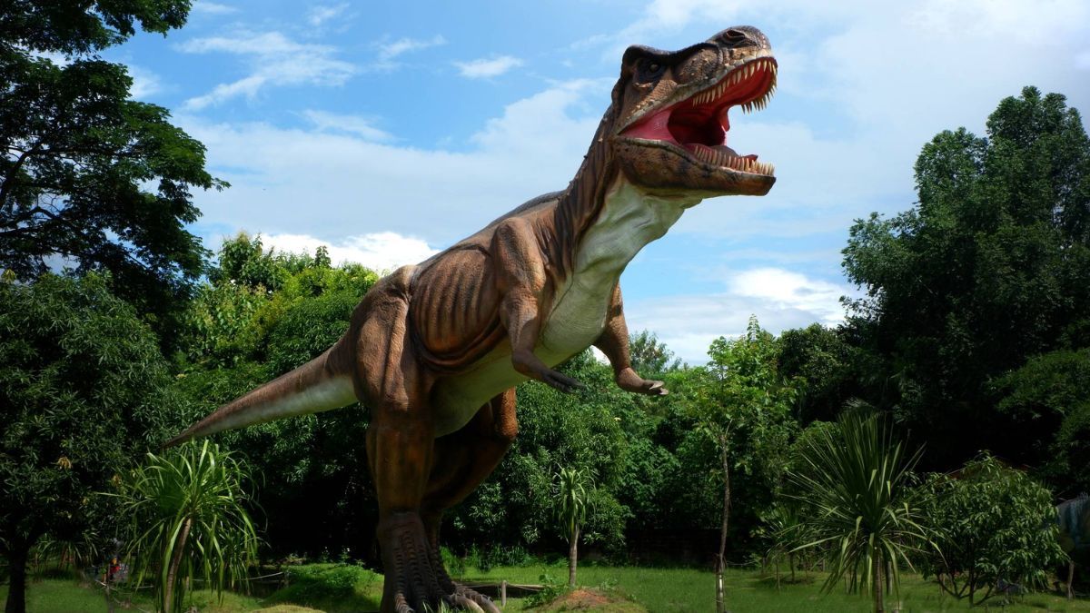 Qué hacer en Bariloche este verano: descubrí un increíble y ...