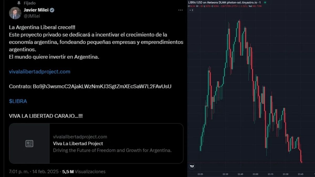 Javier Milei borró el posteo con el que promocionaba la token Libra y ...
