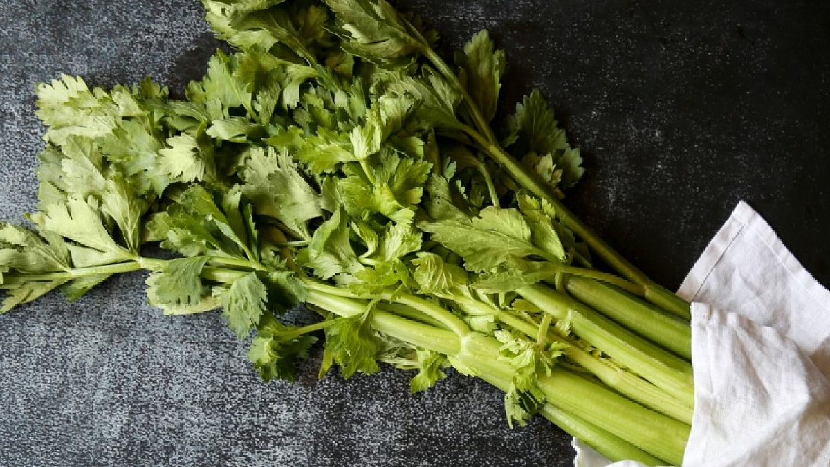 Cómo consumir apio para perder peso de forma natural