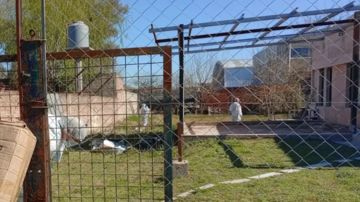 Encontraron a una mujer muerta y enterrada en el patio de su casa en Buenos Aires: sospechan de ...