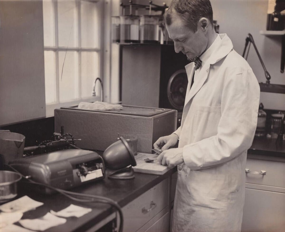 El destino del cerebro de Albert Einstein: la revelanción de una decisión controversial