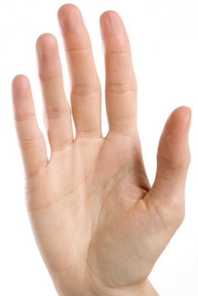¿el Tamaño Del Pene Está Relacionado Con La Medida De Tus Dedos