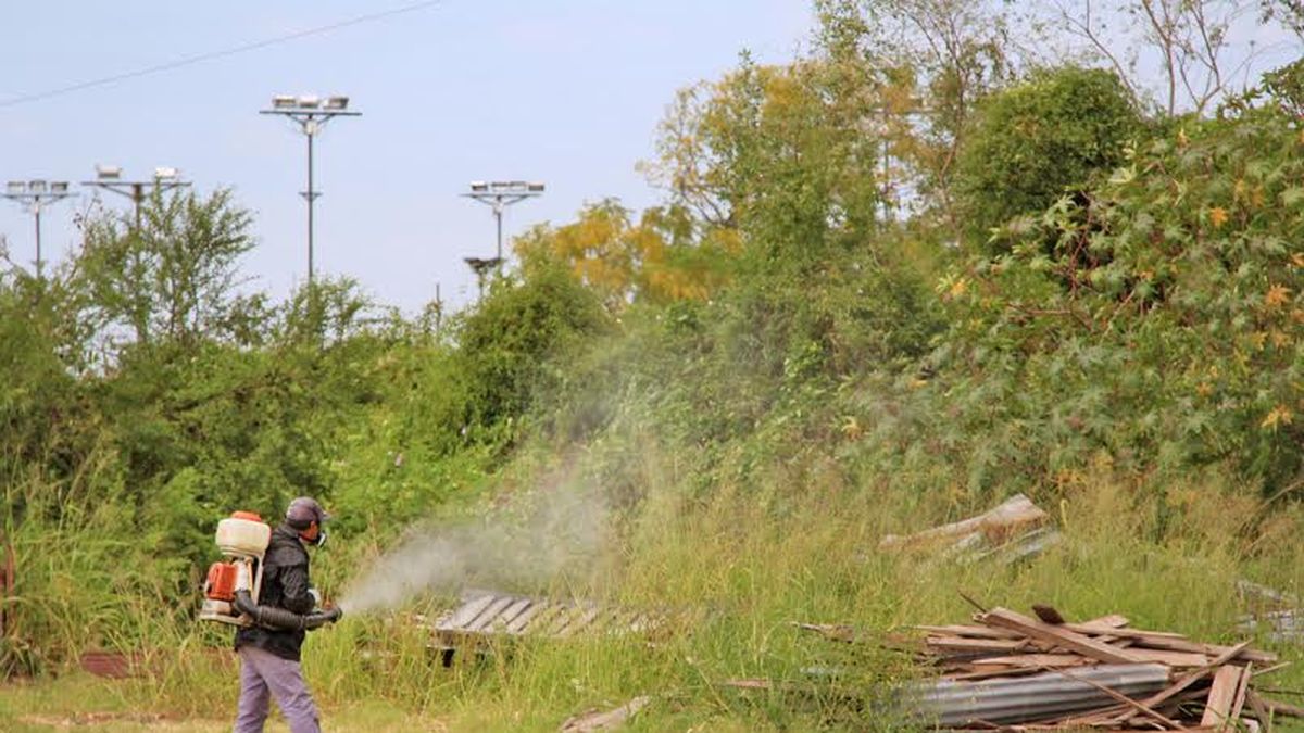 Cronograma de fumigaciones para esta semana en la ciudad
