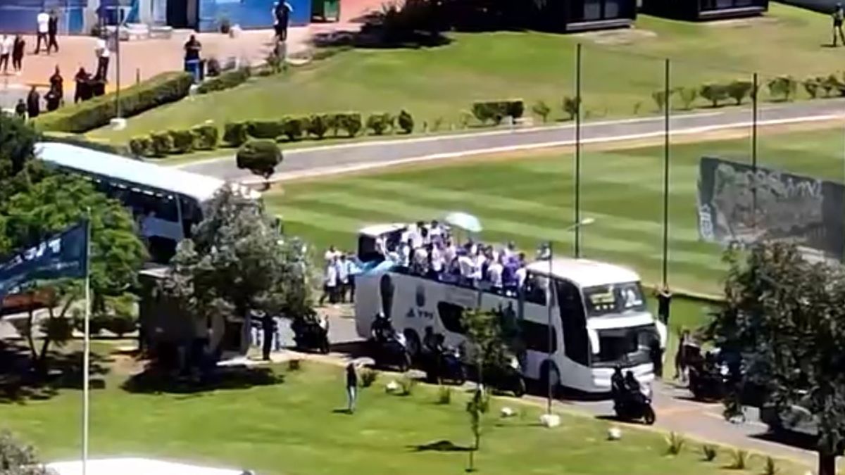 La caravana de los campeones, EN VIVO: la Selección Argentina dio una vuelta olímpica aérea ante ...