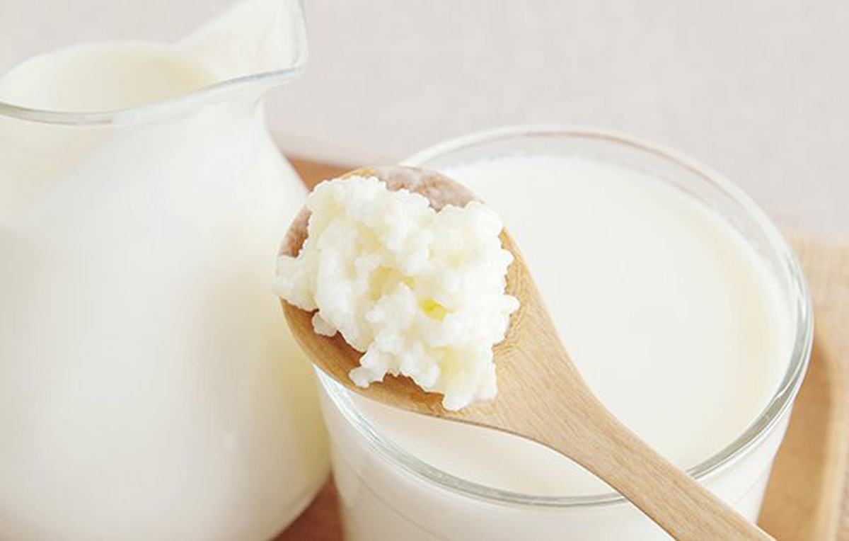 Kéfir: qué es y para qué sirve