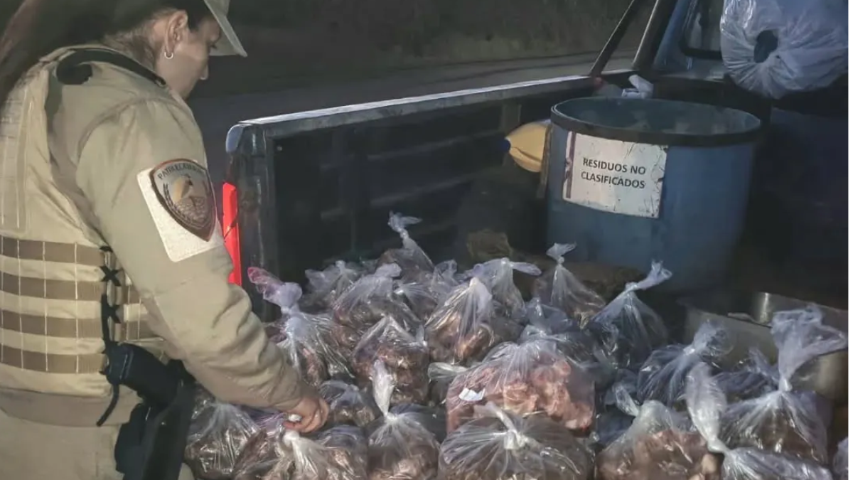 Córdoba: revisaron la caja de una camioneta en la ruta y lo que ...