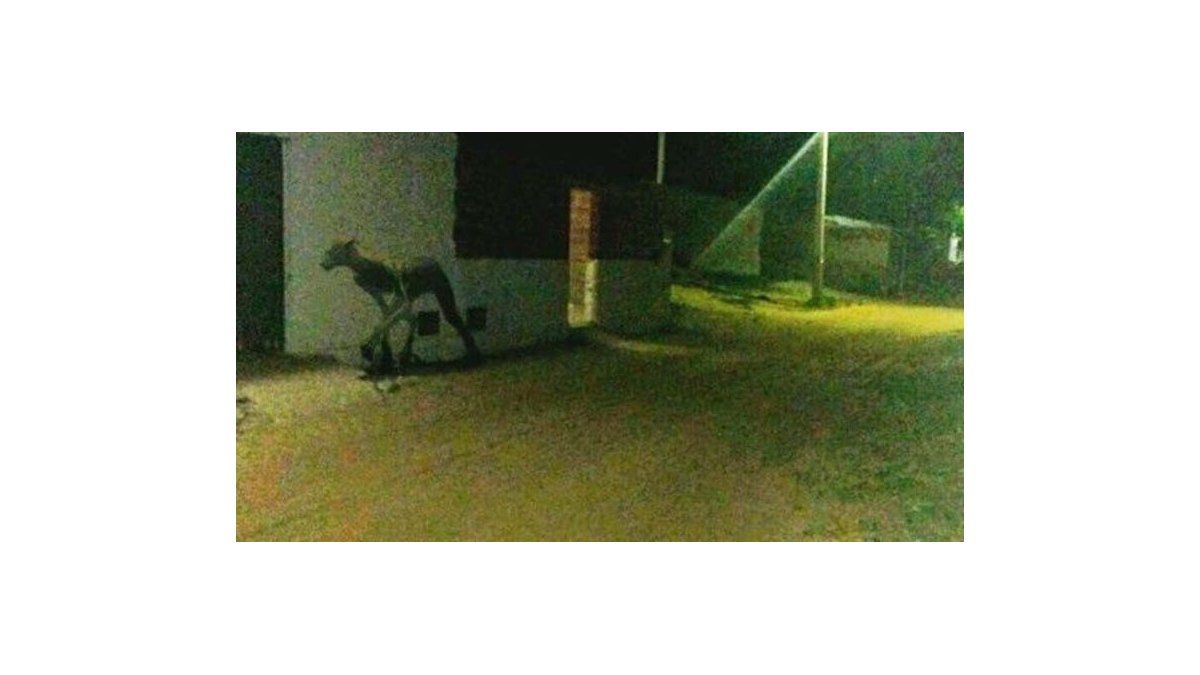 El lobizón”en Santa Fe?: las leyendas urbanas más perturbadoras