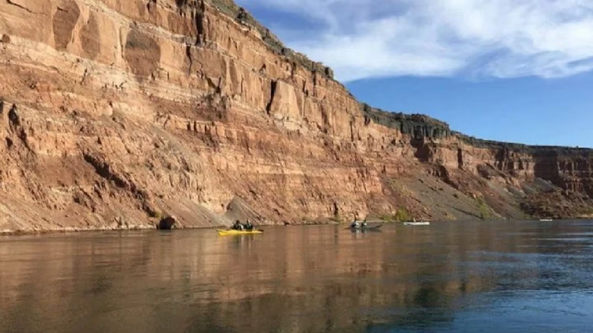 Río Negro: estaba pescando junto a sus amigos, se resbaló y murió al ...
