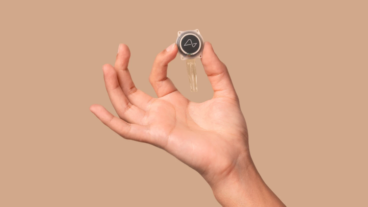 Descubre cómo el primer chip cerebral Implantado en un humano marca el ...