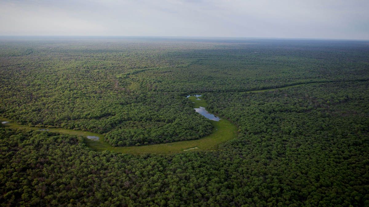 La Nasa publicó impactantes imágenes que muestran la deforestación en ...