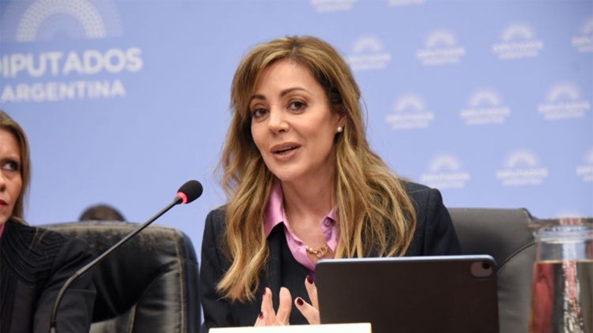 Flavia Royón sostuvo que el proyecto de gas natural licuado cambiaría la realidad productiva y ...