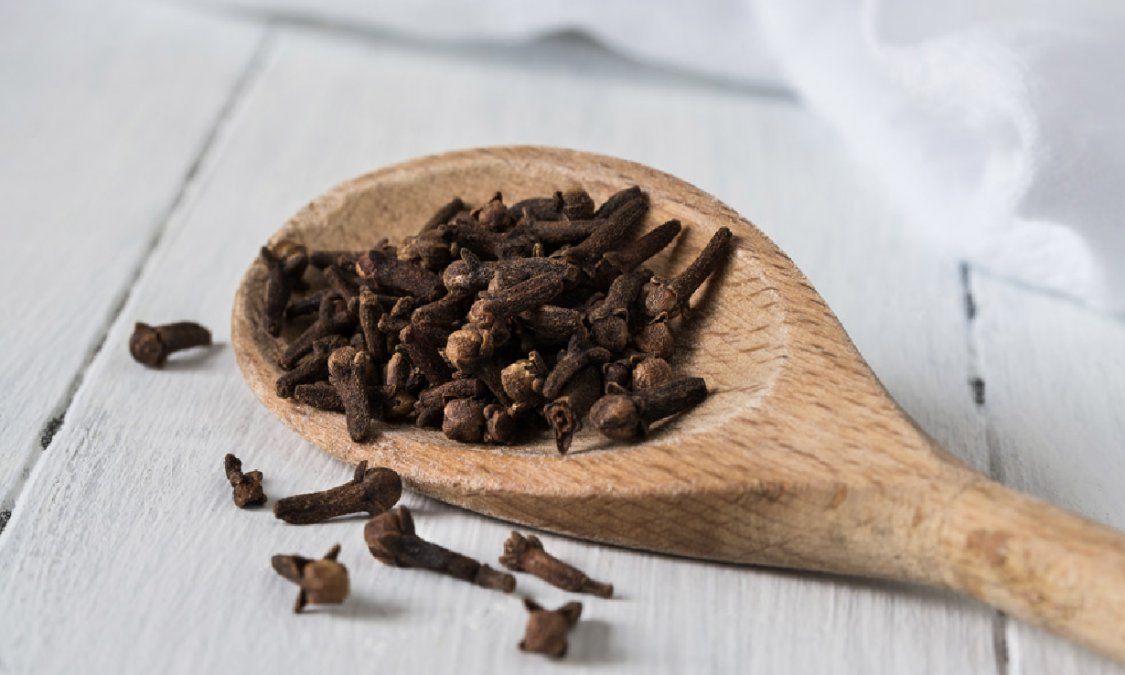 Cuáles son los beneficios de tomar té de clavo