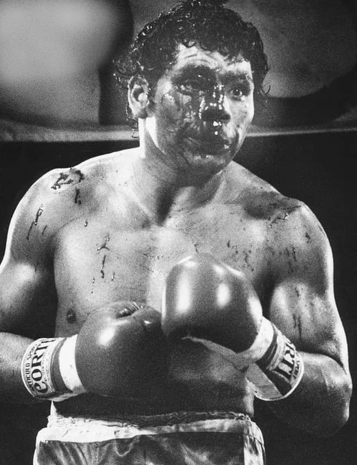 A 47 años de una de las máximas epopeyas del boxeo argentino: el ...