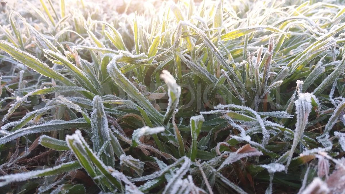 El 9 de julio amaneció con heladas en algunas zonas de Santa Fe: las ...