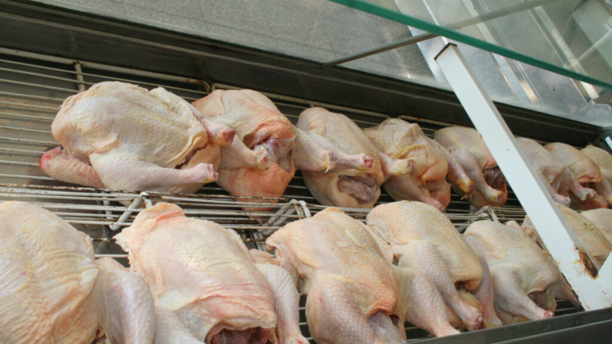 Precios en Santa Fe: el cajón de pollo aumentó un 15% en la última semana