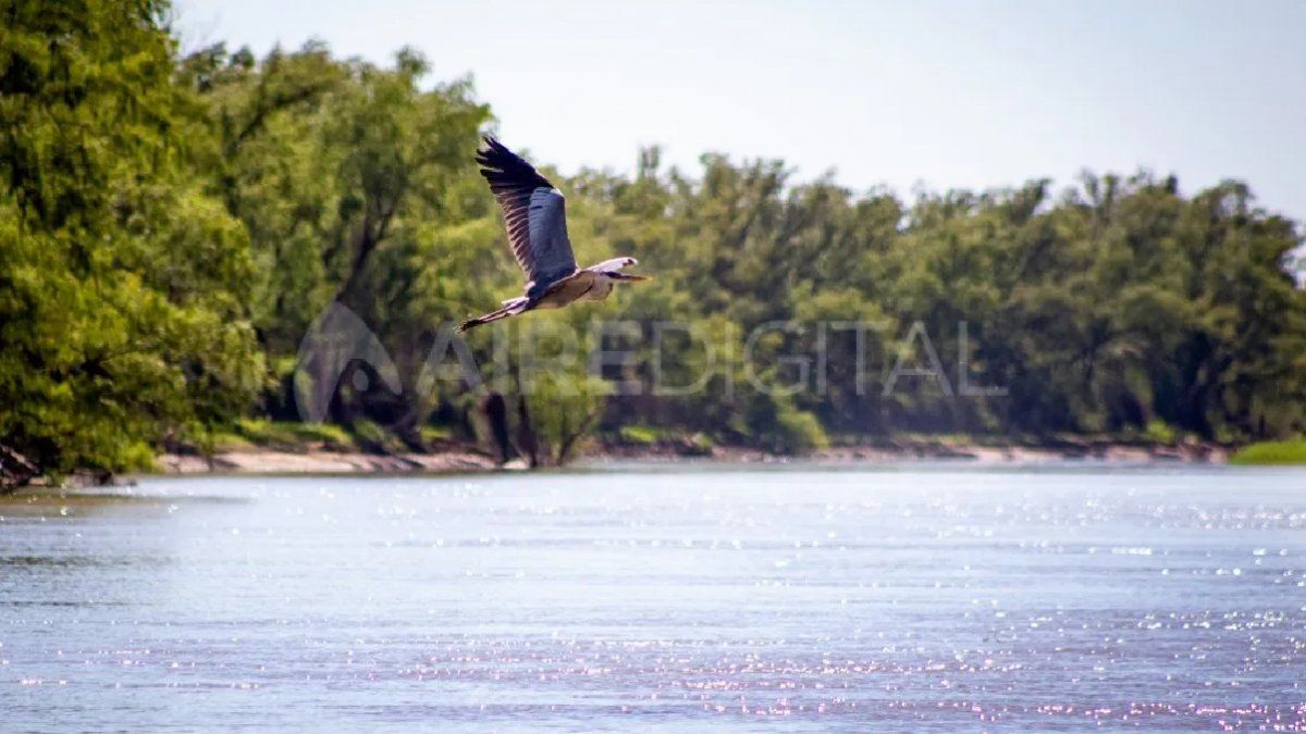 Parque Nacional Islas de Santa Fe: un paisaje único en Argentina para ...