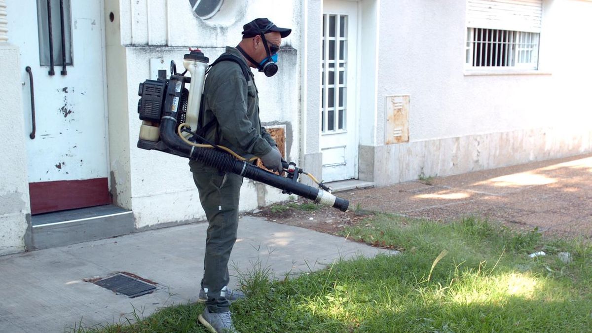 Dengue en Santa Fe: la Municipalidad realizó un bloqueo en barrio Sur ...