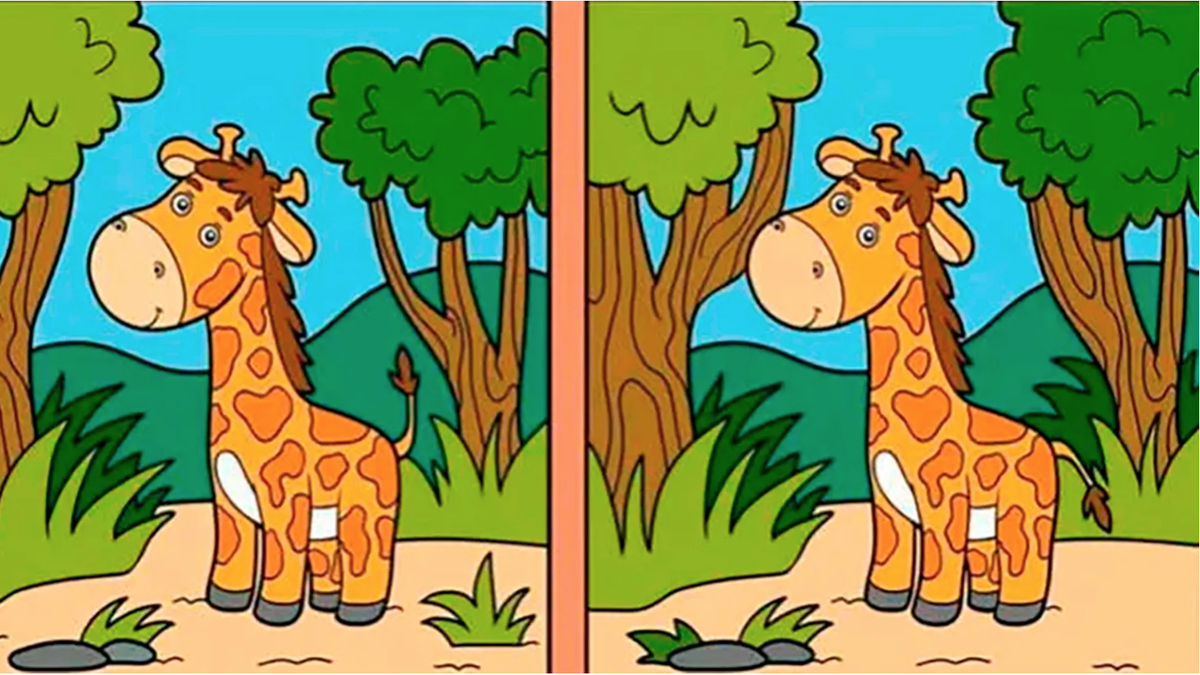 RETO VISUAL nivel PRO: solo el 2% encontró las 8 diferencias ¡en 7 ...