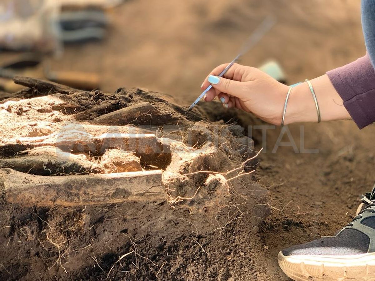 Santo Tomé: encontraron restos óseos humanos milenarios