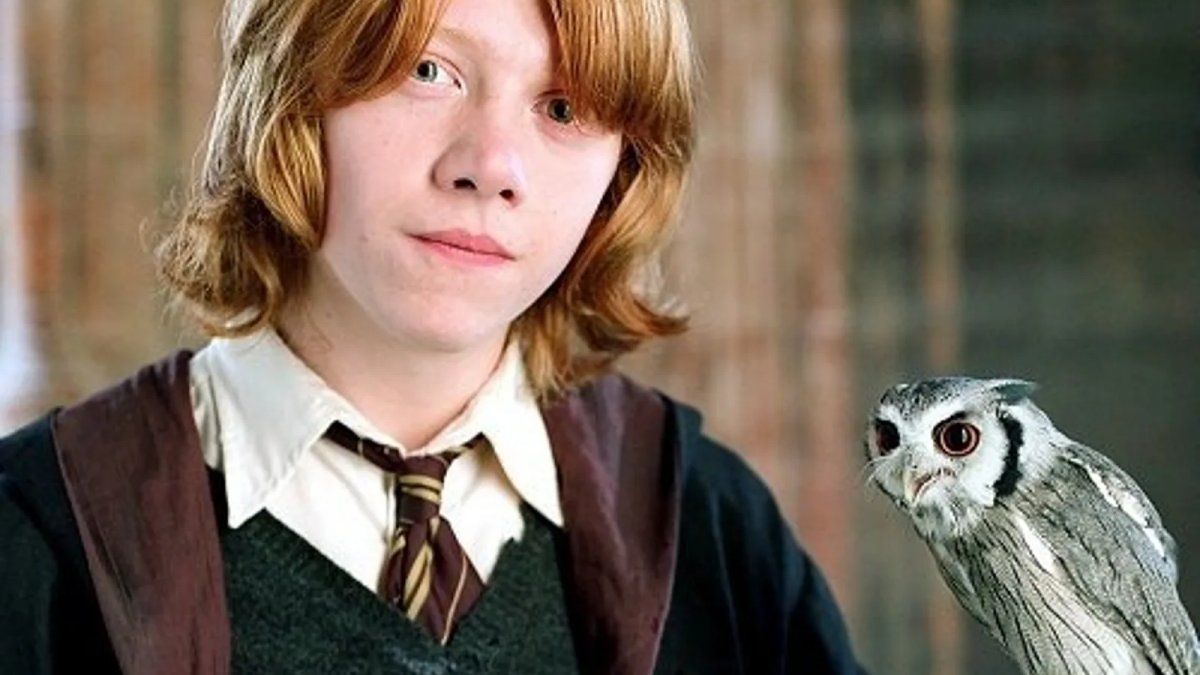 Rupert Grint debutó en Instagram y reveló un detalle íntimo: Solo 10 ...