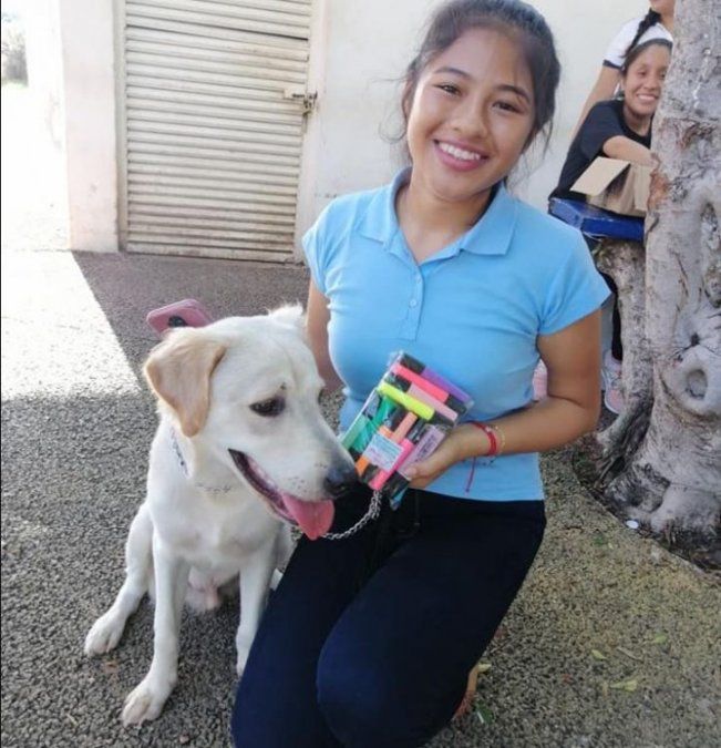 Scott, el perro que vende resaltadores para operarse y seguir caminando